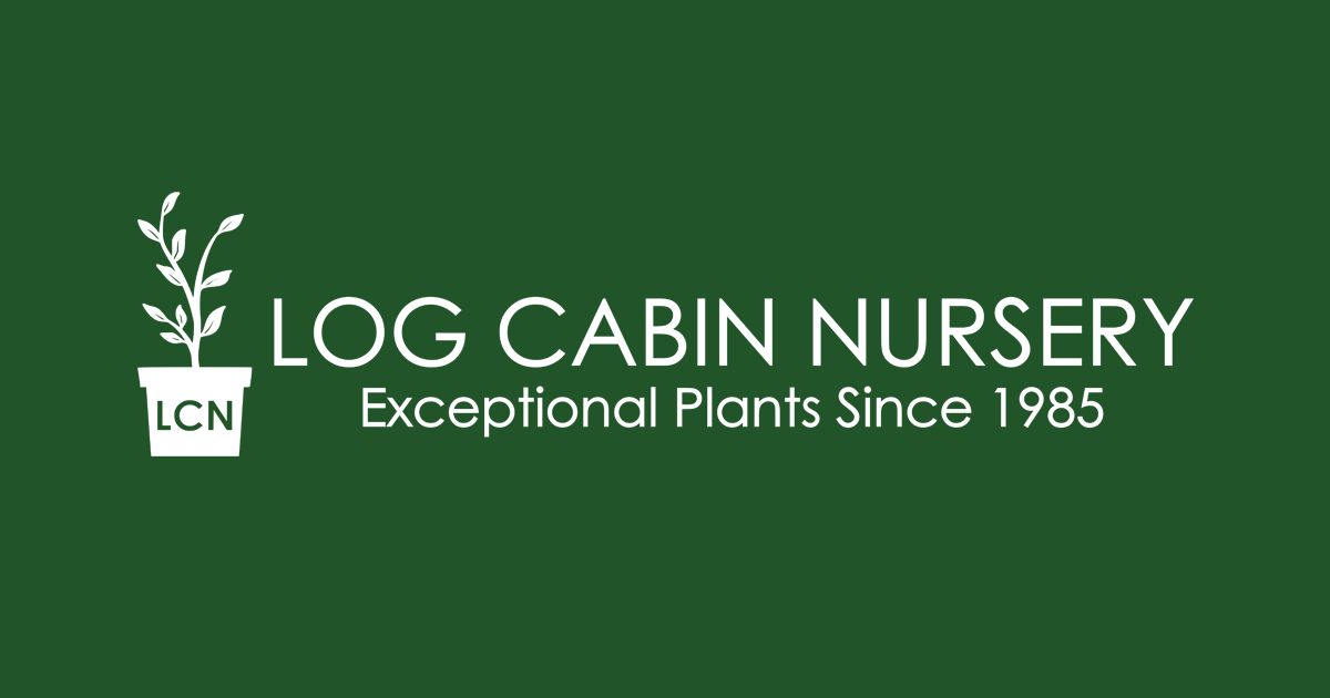 Log Cabin Nursery - Exceptional Plants Since 1985